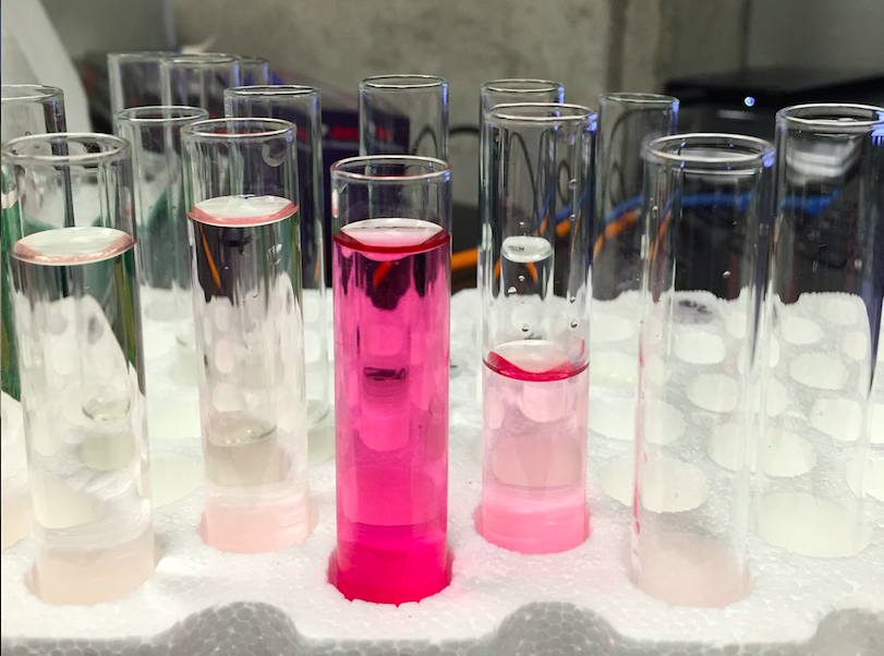 African Violet Pigment Identification – Martin Lab at UCI